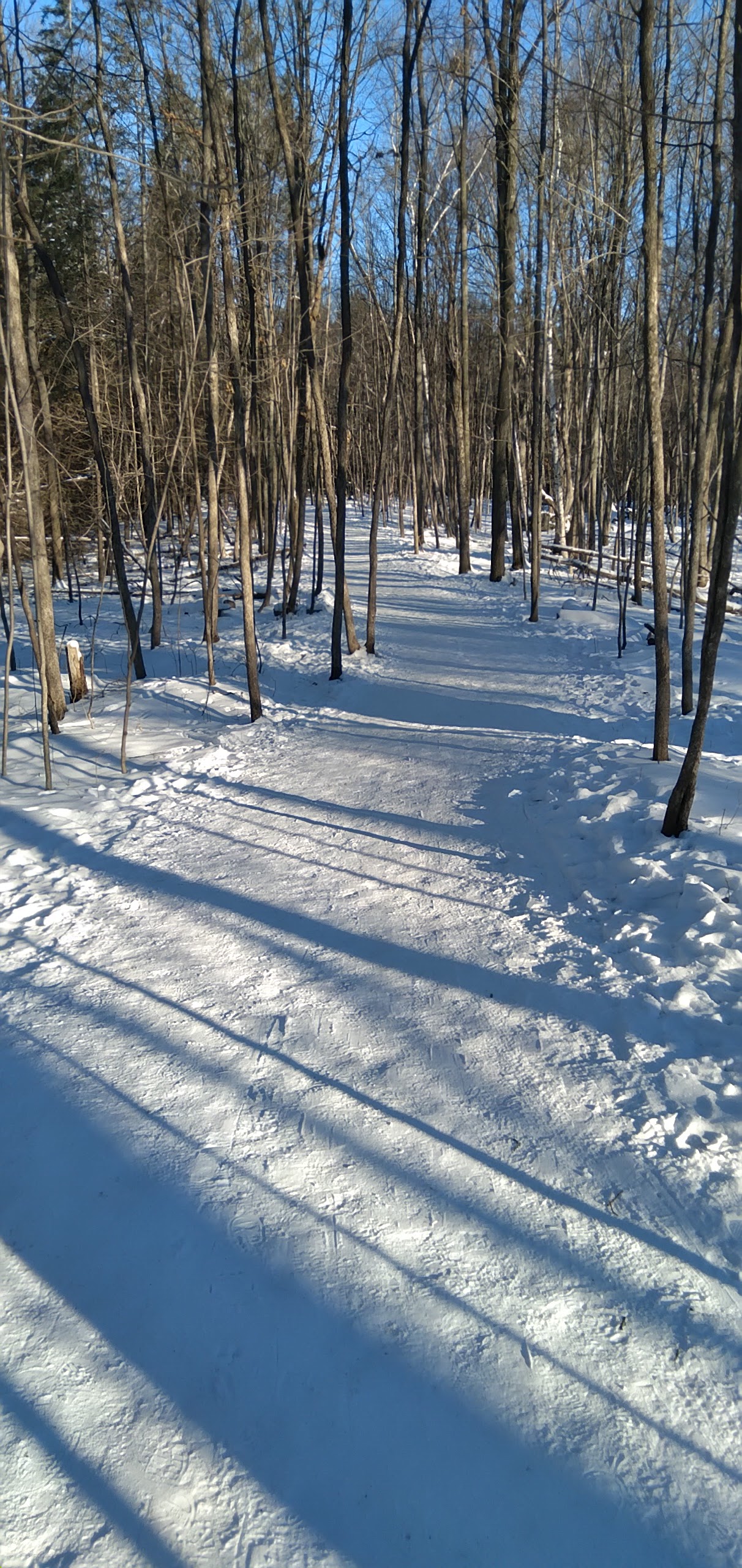 Random ramblings | Bits and bobs